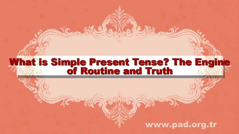 What is Simple Present Tense? The Engine of Routine and Truth - Pad.org.tr